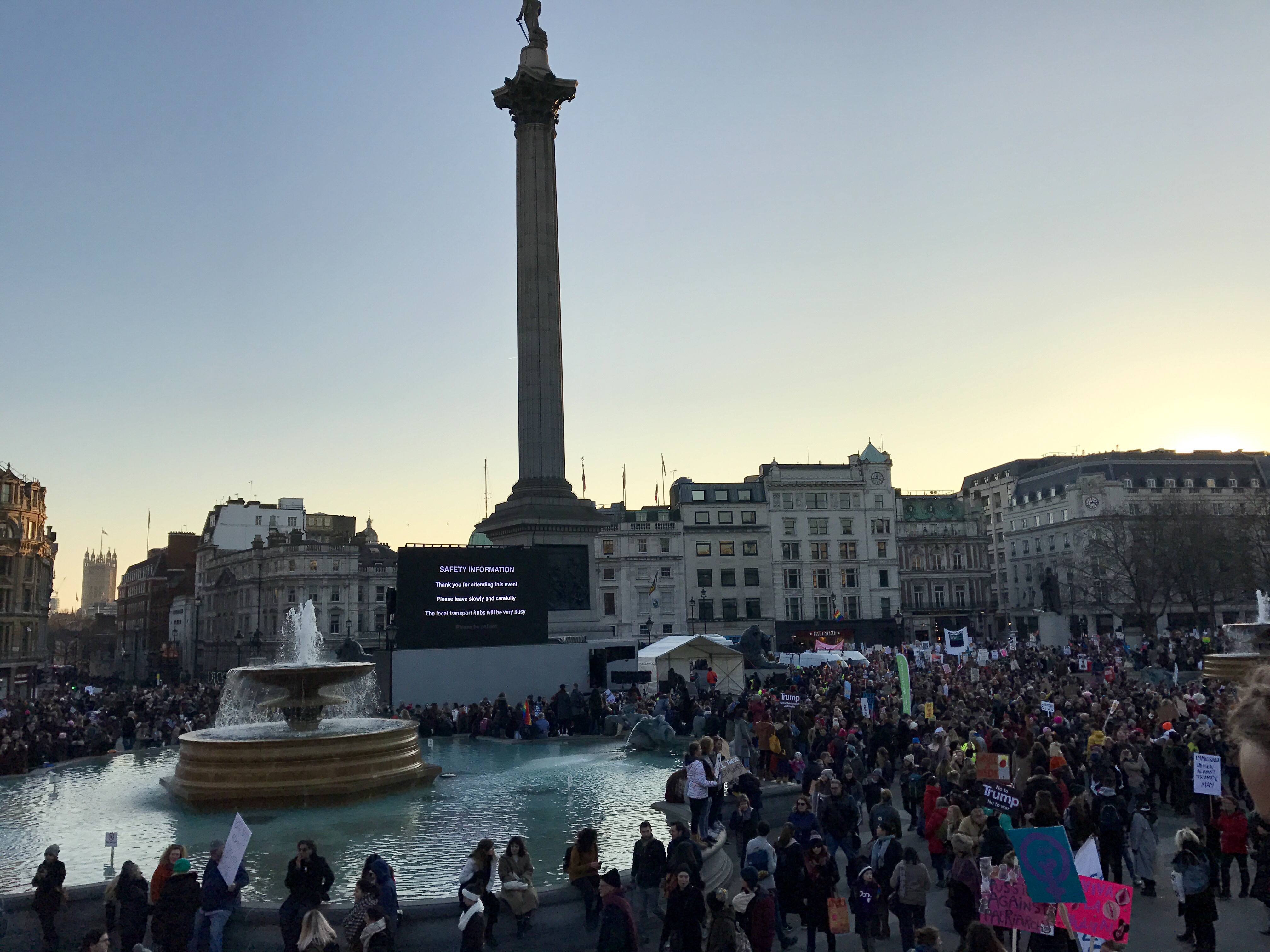 Why I Marched | Vertically Challenged